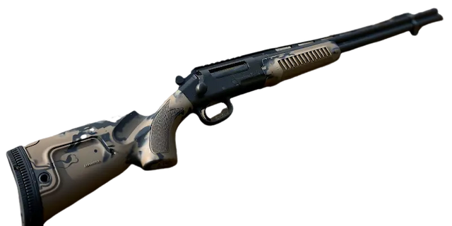 Acoating Gallery: Explore Our Premium Firearm Customizations